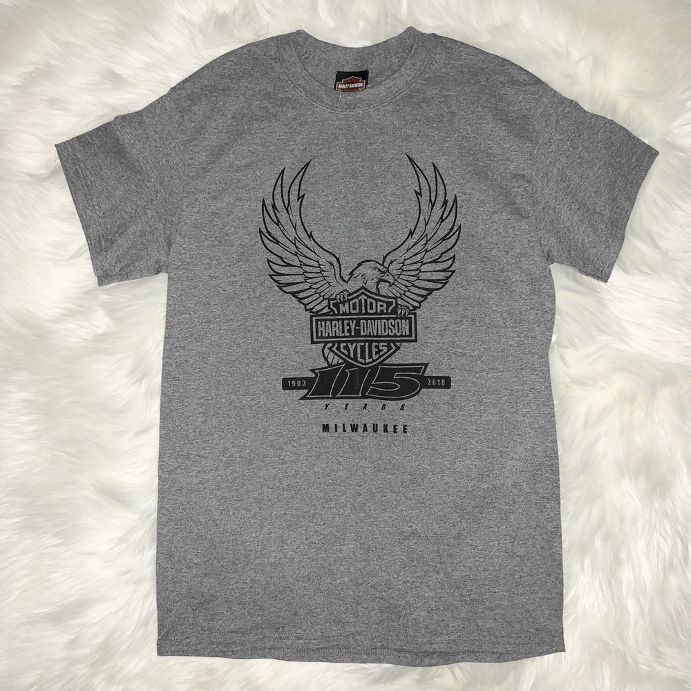Harley Davidson Men’s Gray T-Shirt Size Small - Gem